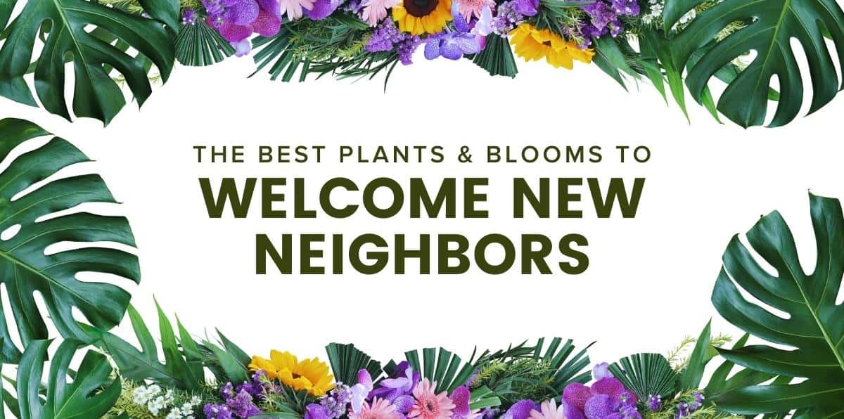 Get to Know Your New Neighbor with One of These Welcoming Gifts - The ...